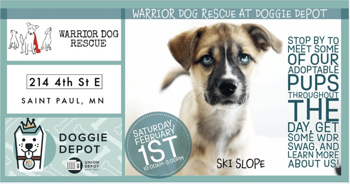 Doggie Depot! - Warrior Dog Rescue